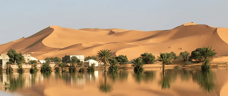 Após 30 anos de seca, chuvas raras fazem o deserto do Saara florescer novamente; veja vídeo - O ...