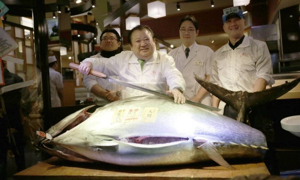 Atum Bluefin é vendido por R$ 8 milhões em leilão tradicional no Japão ...