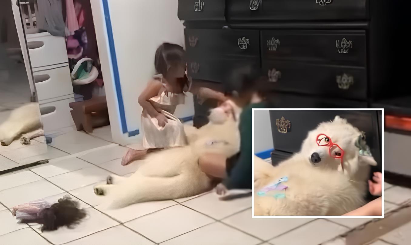 Cachorro entra no clima de brincadeira com garotinhas em cena de amizade verdadeira; veja vídeo ...