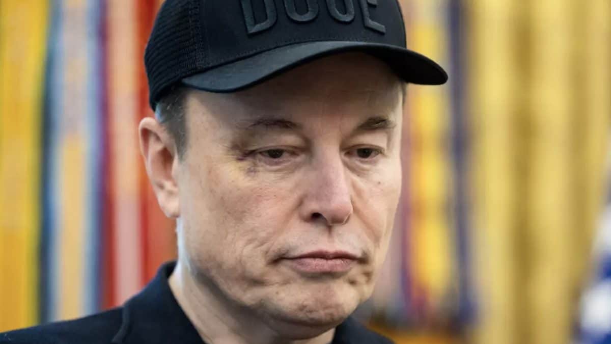 Elon